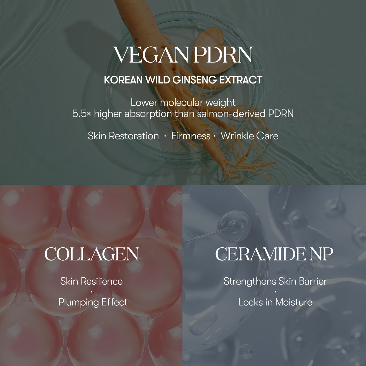 PDRN STICK BALM – VT Cosmetics official