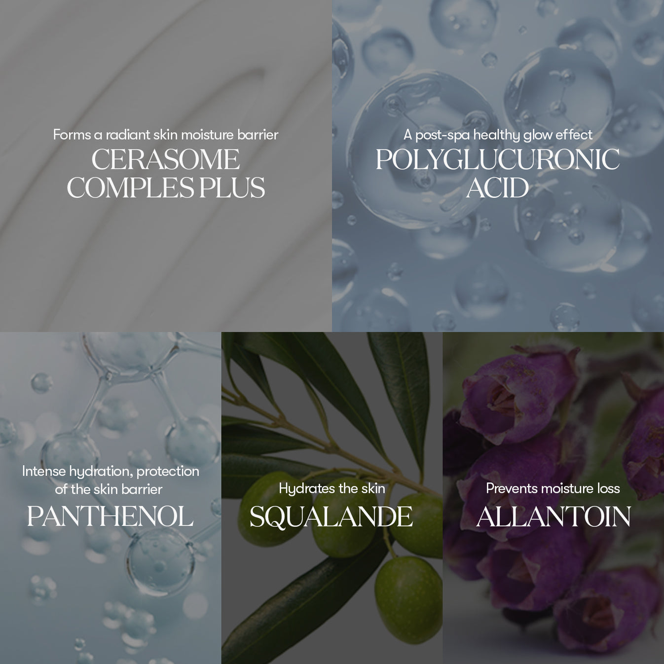 PDRN Essence 100 – VT Cosmetics official